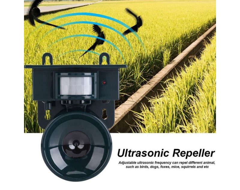 Solar Ultrasonic Bird Repeller Pest PIR Motion Sensor - Yolo Goods